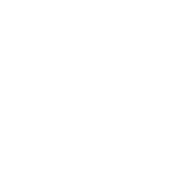 Our Belts "Cords" System — Capoeira Brampton