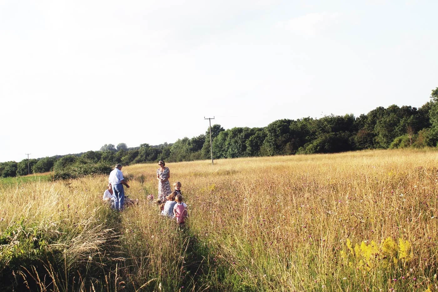 Oxleaze Farm