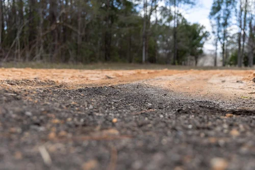Things to Do | Discover Local Adventures Today — Chumuckla Springs RV ...