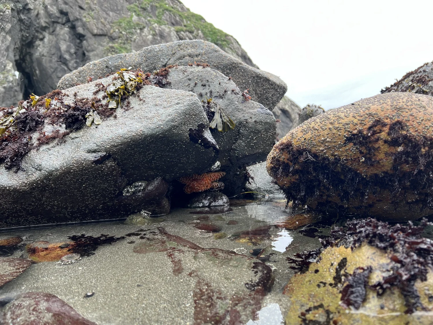 Oregon Coast Road Trip: The Perfect 7-Day Itinerary | Adventuring with ...