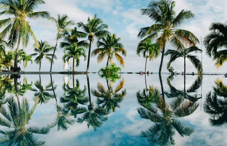 Transform your travel business with ADX — TripArc