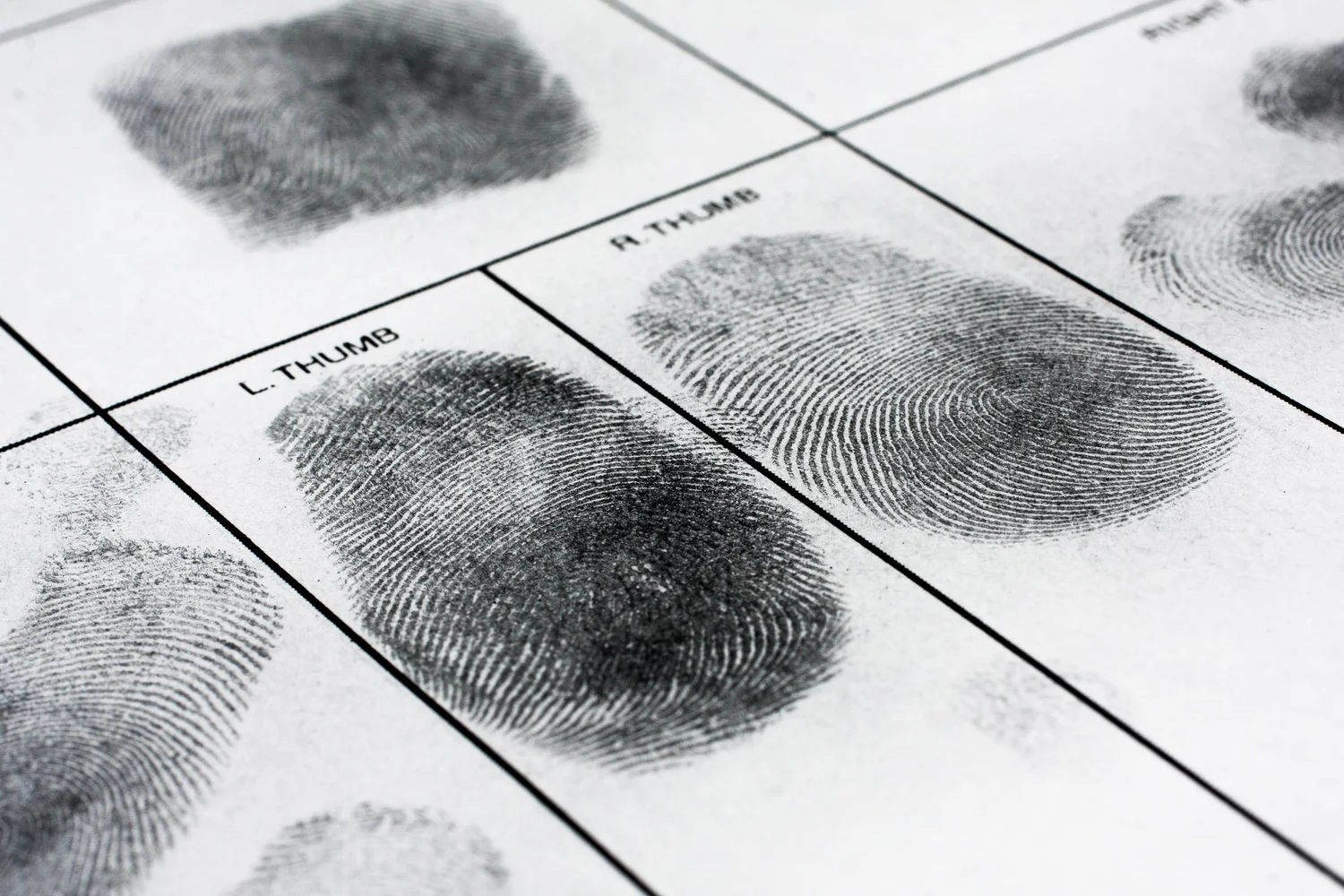 Tacoma Fingerprinting Service