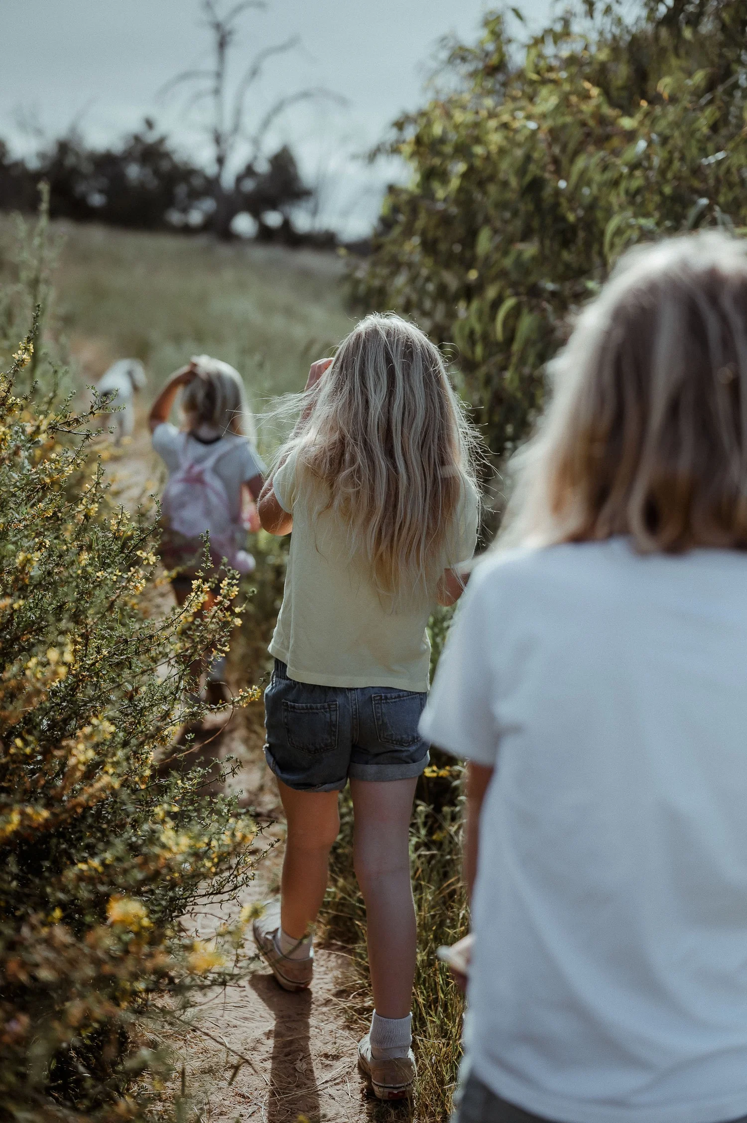 Hembree Bell Law Firm | Navigate Divorce Confidently — Get Support Today