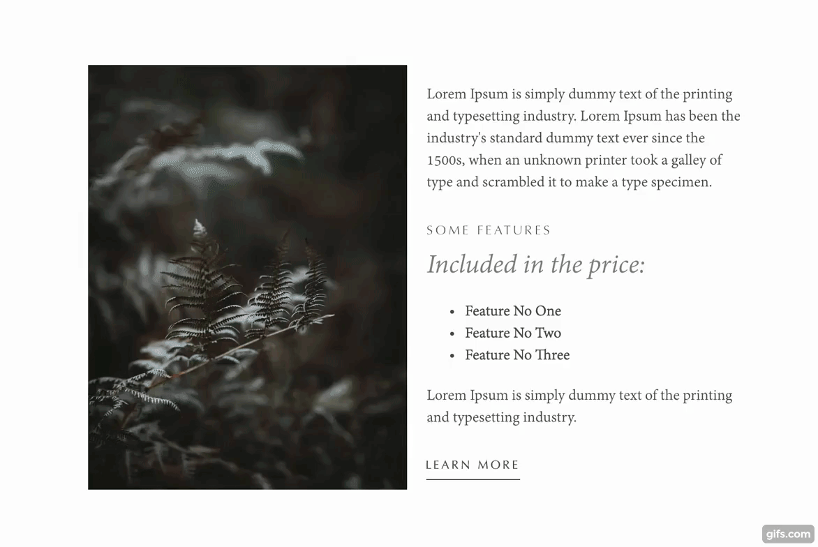 10 Squarespace Animations That Will Make Your Site More Dynamic — Kate ...