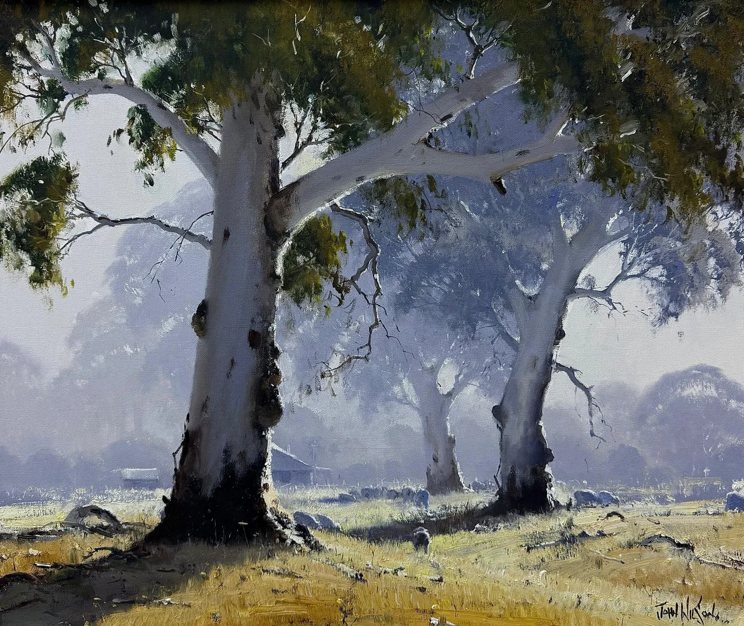 Wilson Fine Art Gallery