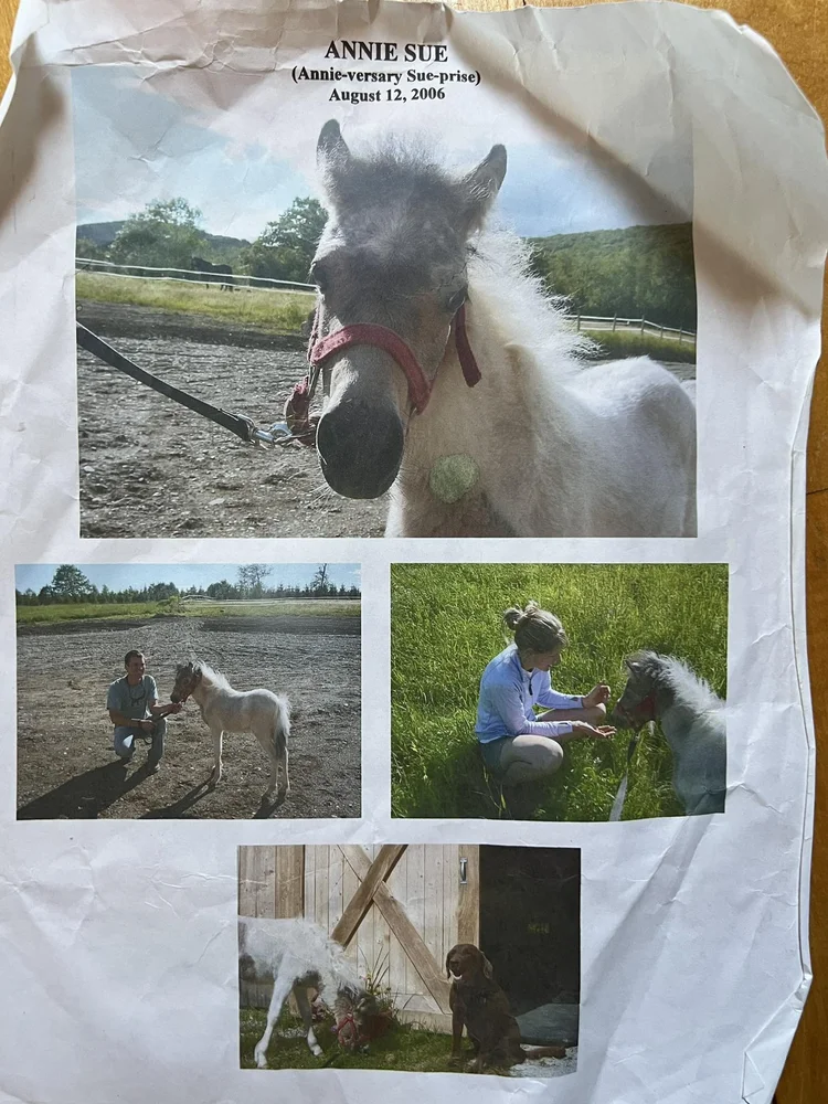 Annie-Sue’s Arrival: A Throwback to Her First Days on the Farm — Moose ...
