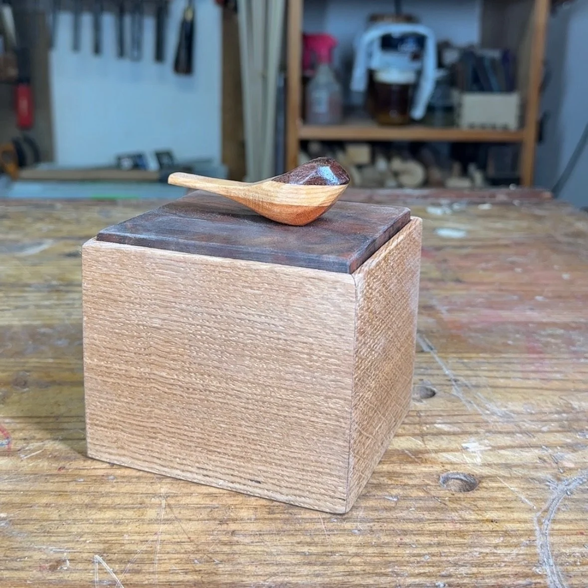 Oak and Walnut Bird Box — Leah Houghtaling Woodworking