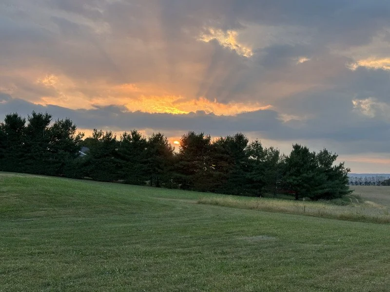 About | Family-Owned & Operated — Sycamore Spring Farm Market and Bakery