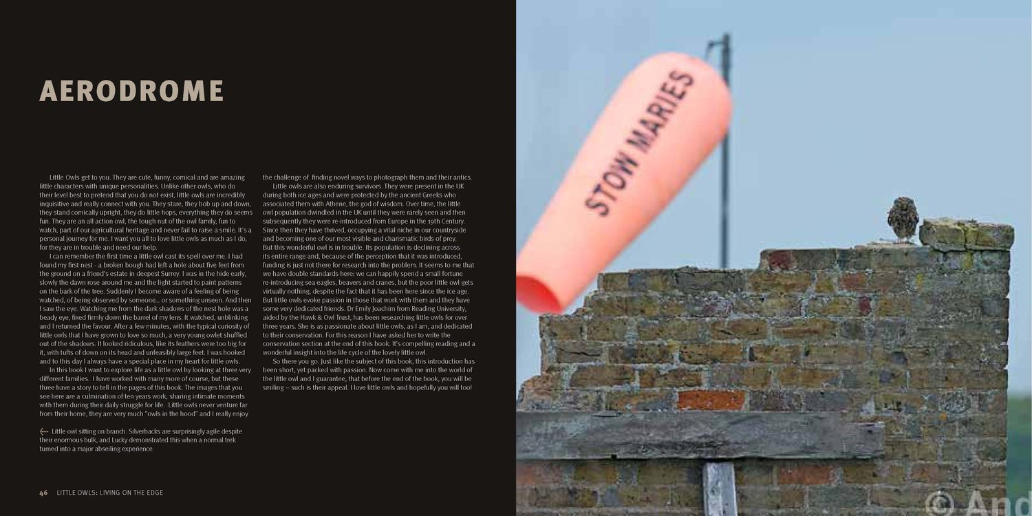 Store 2 — Andy Rouse Wildlife Photography
