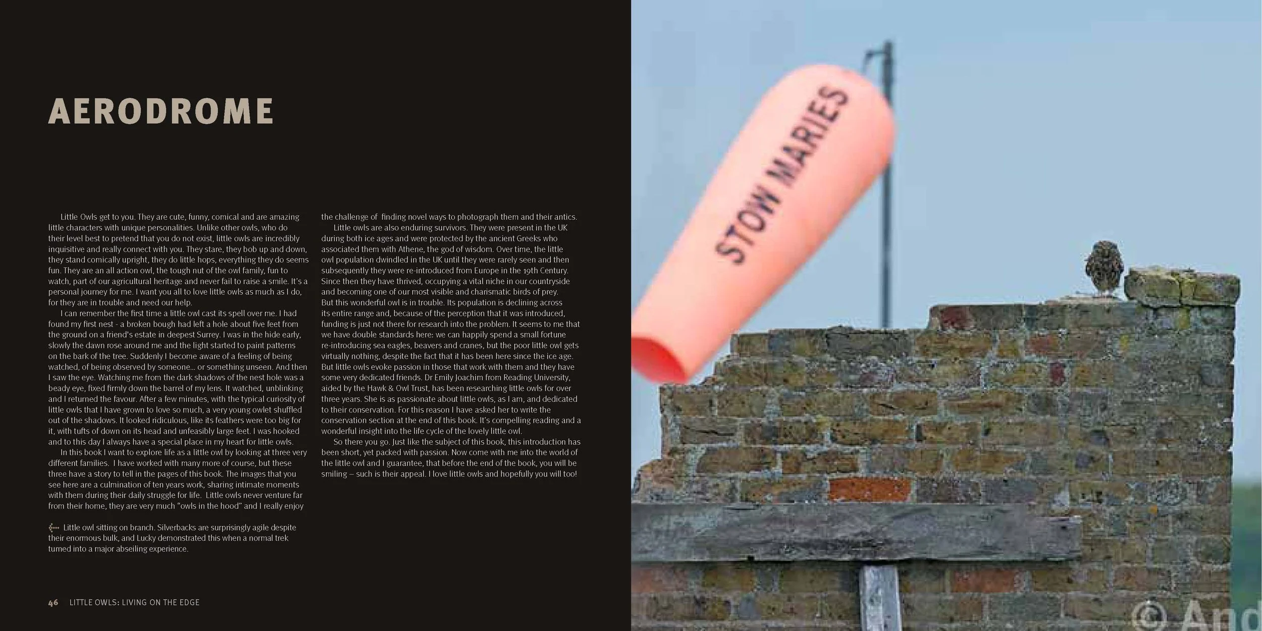 Store 2 — Andy Rouse Wildlife Photography