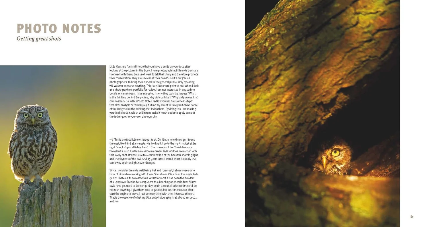 Store 2 — Andy Rouse Wildlife Photography