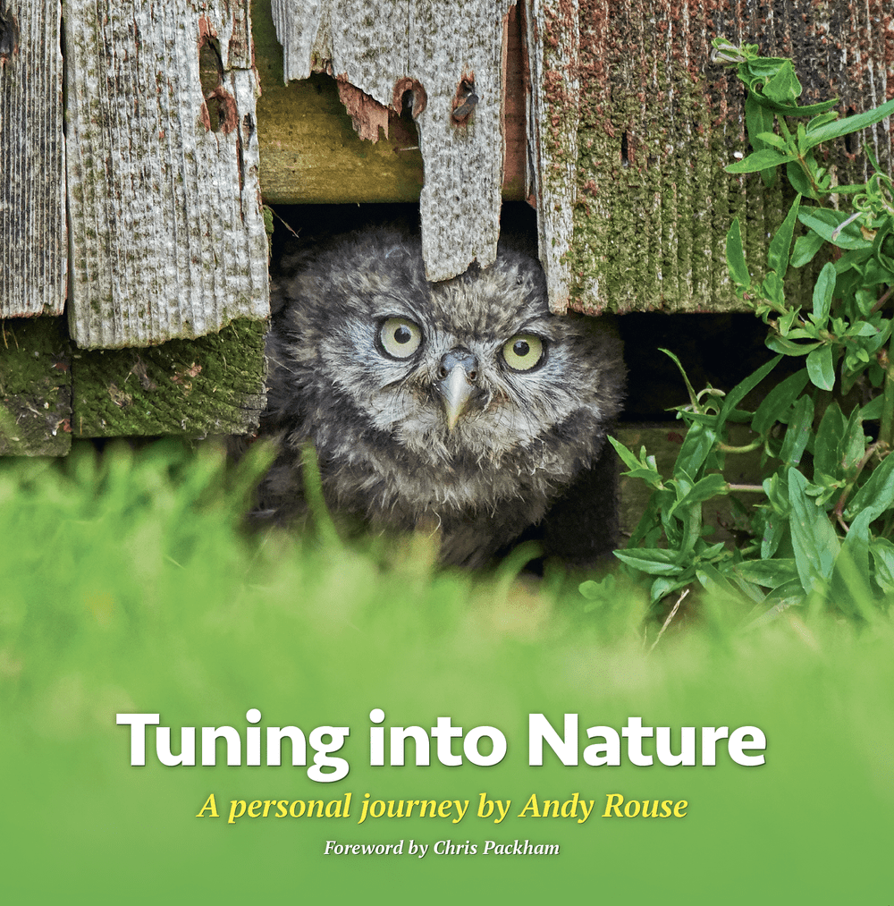 Andy Rouse Wildlife Photography
