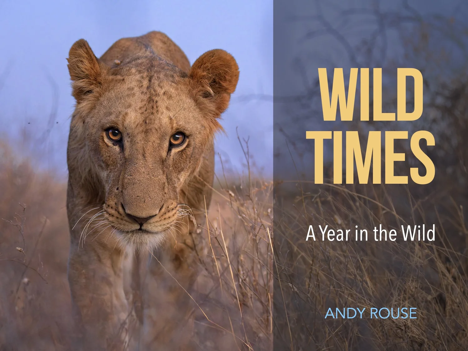 Andy Rouse Wildlife Photography