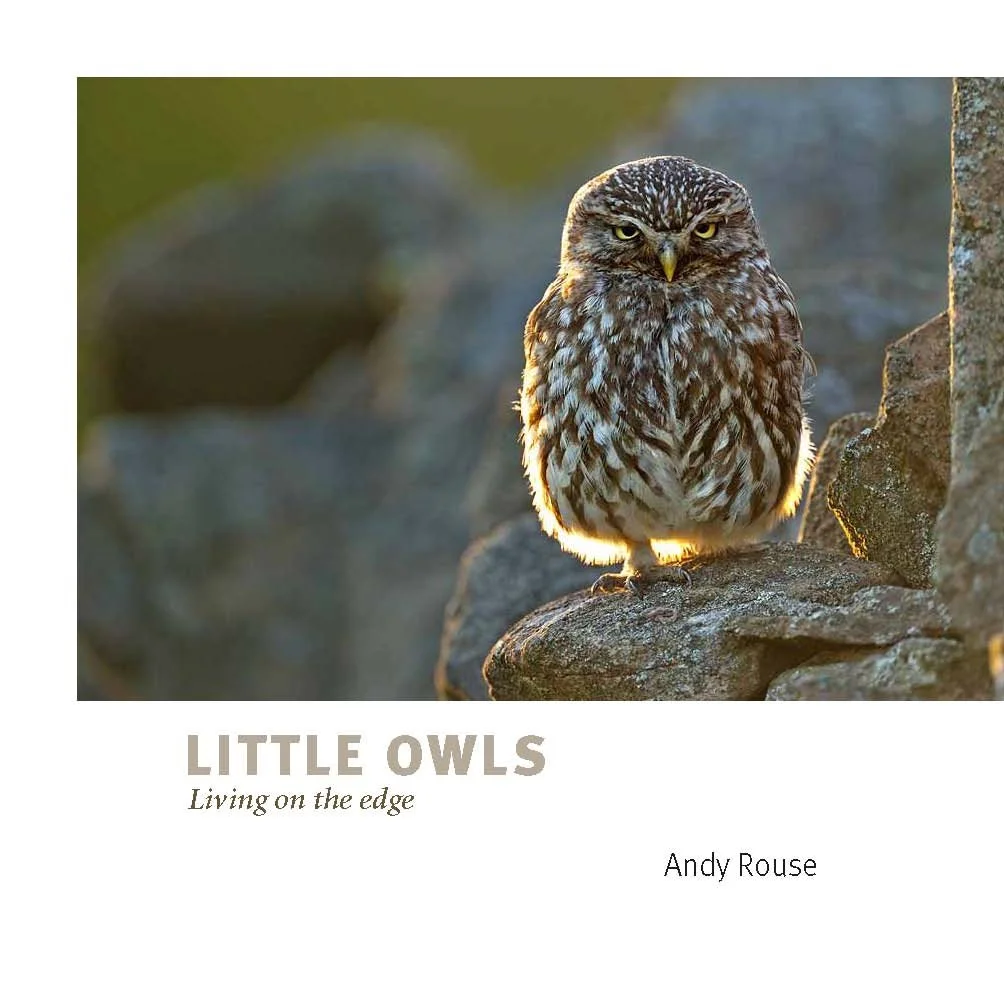 Store 2 — Andy Rouse Wildlife Photography