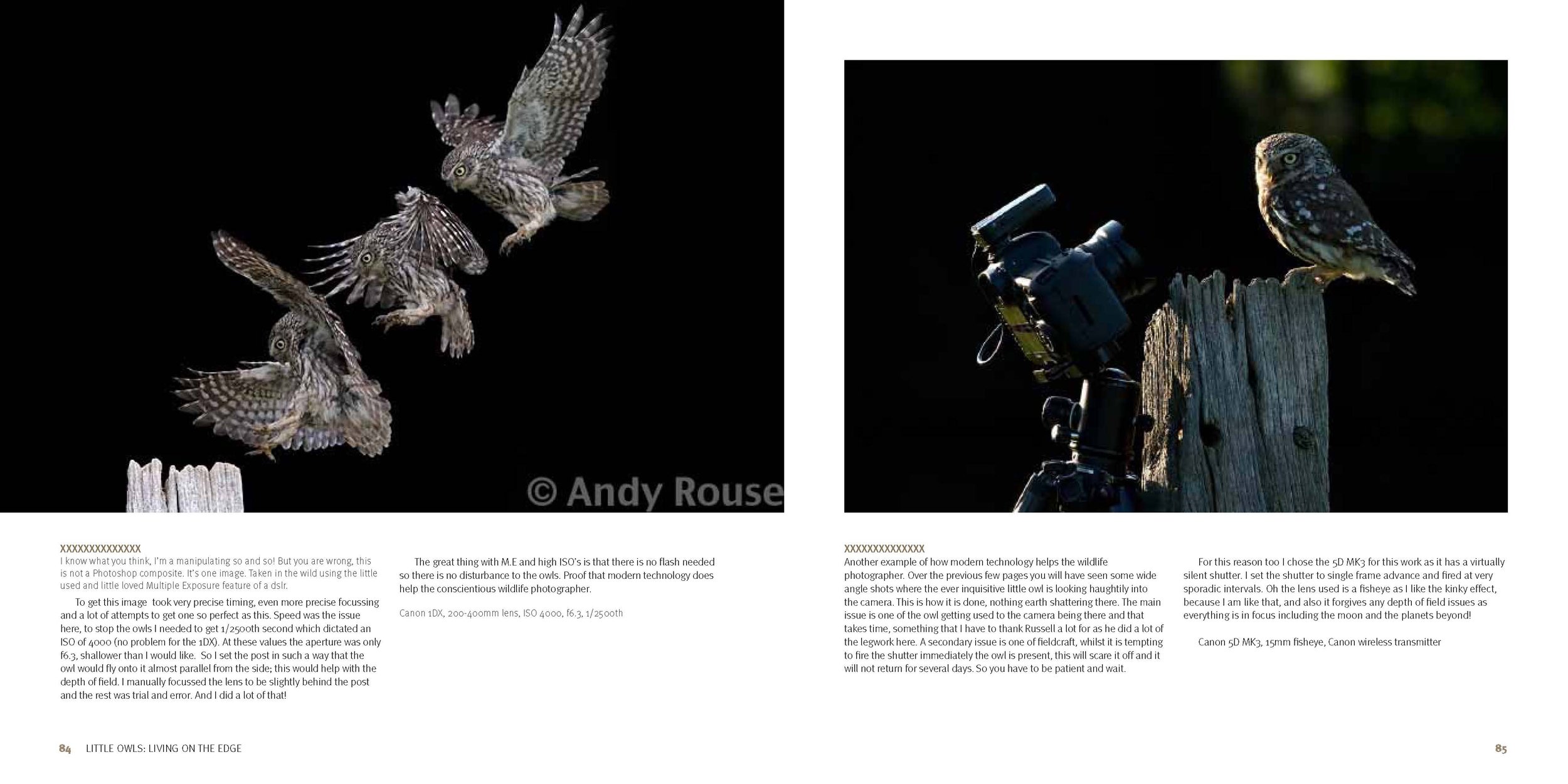 Store 2 — Andy Rouse Wildlife Photography