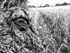 About | Discover Wildlife Photography Now — Andy Rouse Wildlife Photography