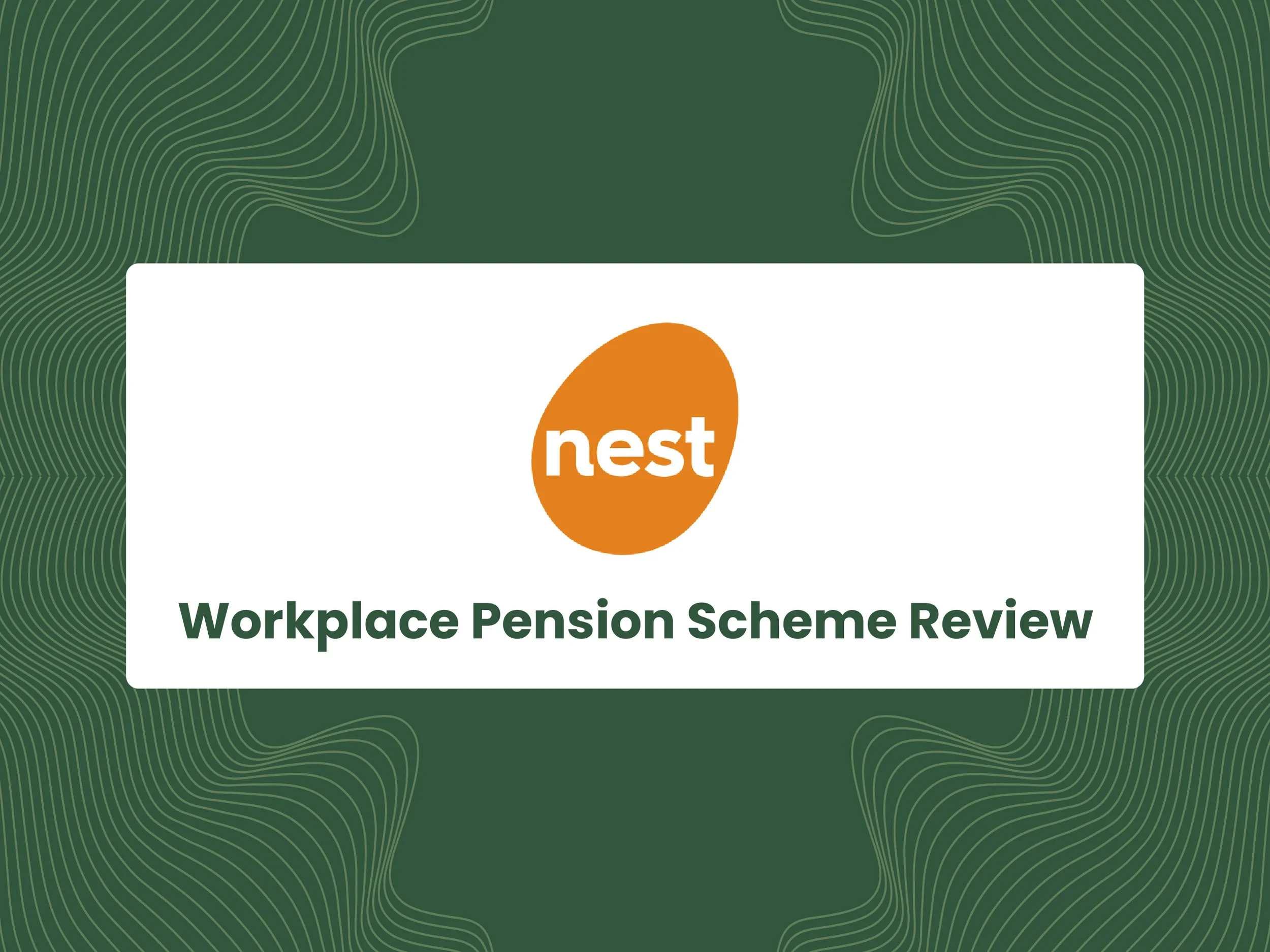 Nest Workplace Pensions UK Explained: An In-Depth Guide for Members ...