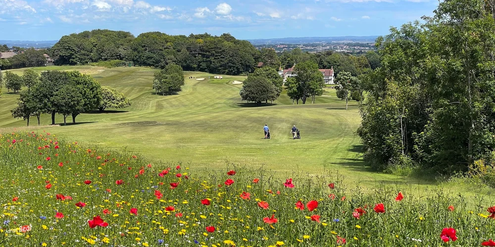 Willingdon Golf Course | 18 Holes of Quality Golf in Eastbourne ...