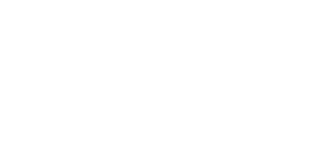 Ground Beef Bundle — Bisbee Family Farms