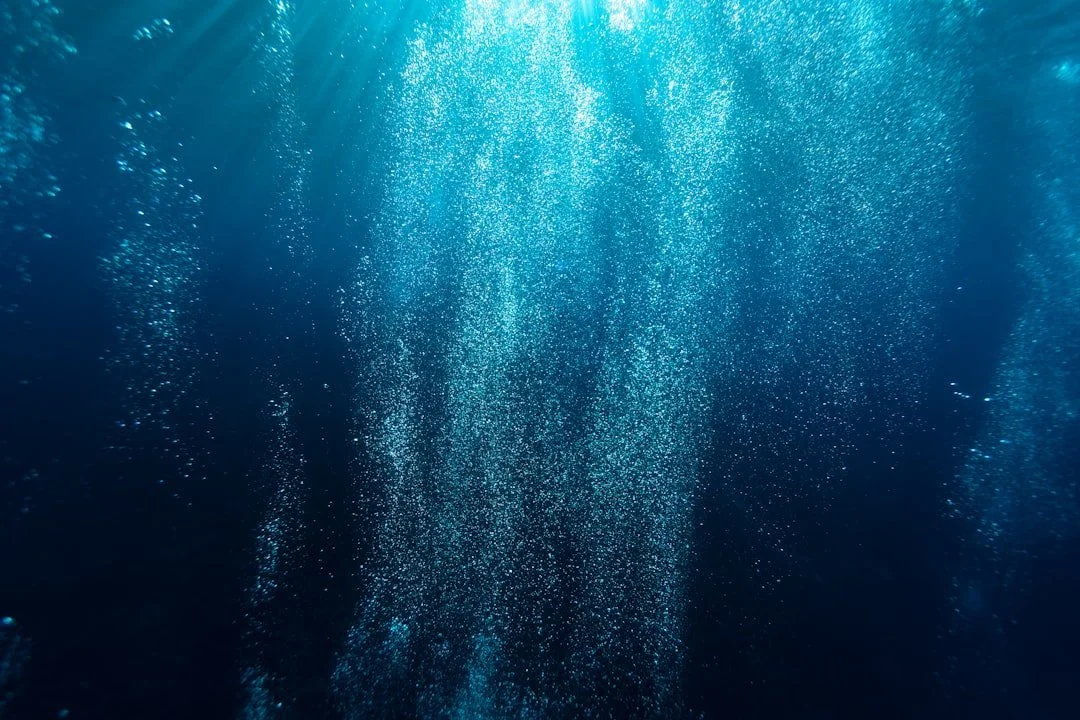 The Scientific Basis for Ocean Carbon Dioxide Removal — Ocean Nourishment