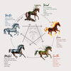 Understanding Your Horse Through the Five Elements: Fire Type ...