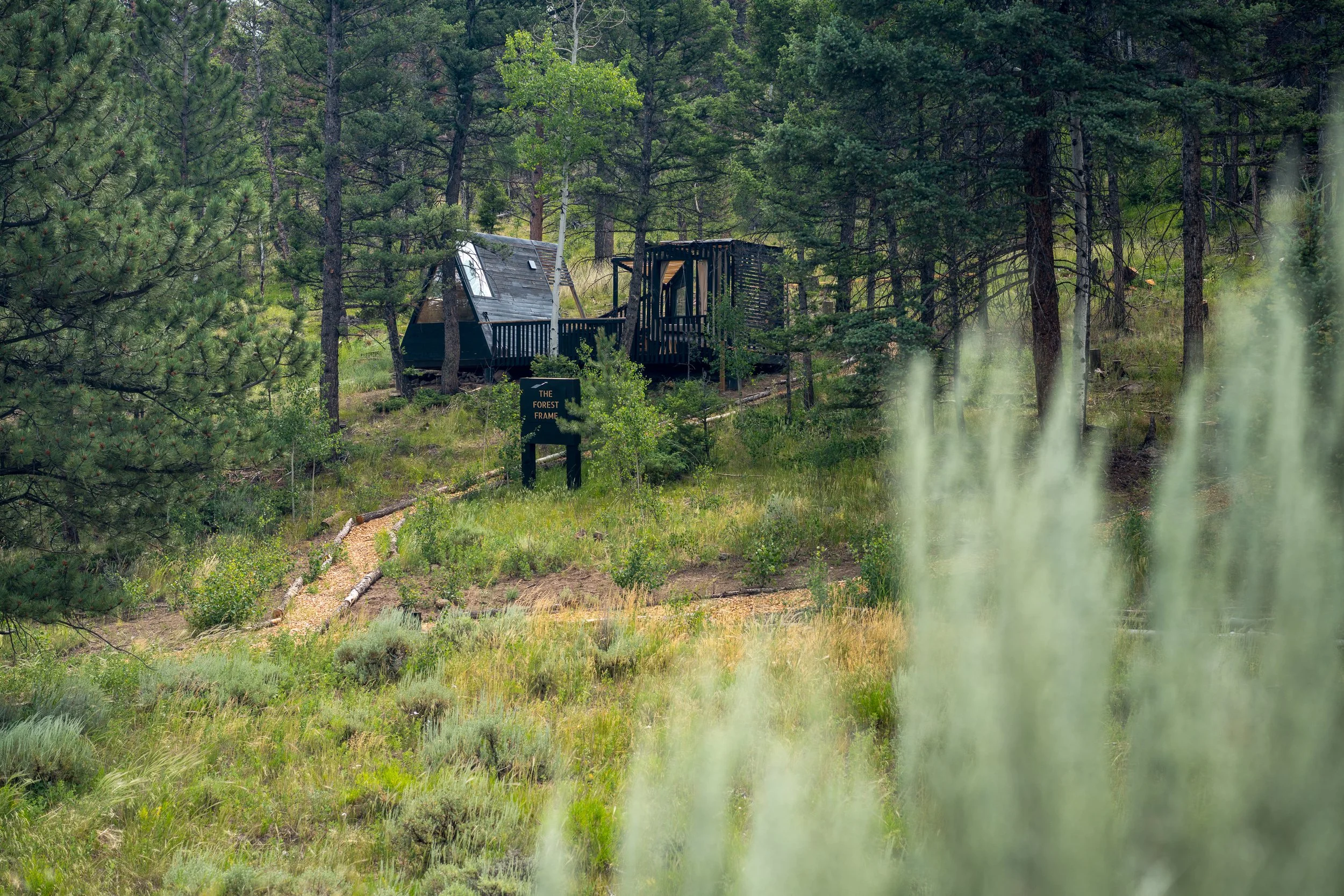 The Cabins | Discover Beautiful Cabins Today — Outside Inn Nature Hotel