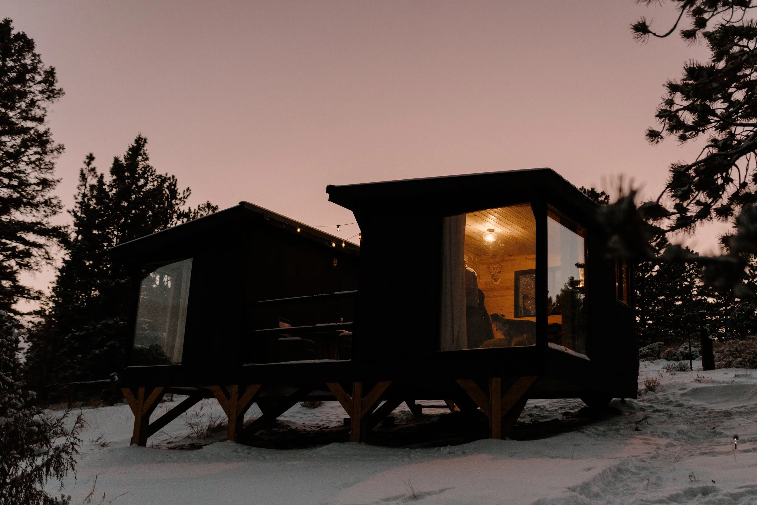 The Cabins | Discover Beautiful Cabins Today — Outside Inn Nature Hotel