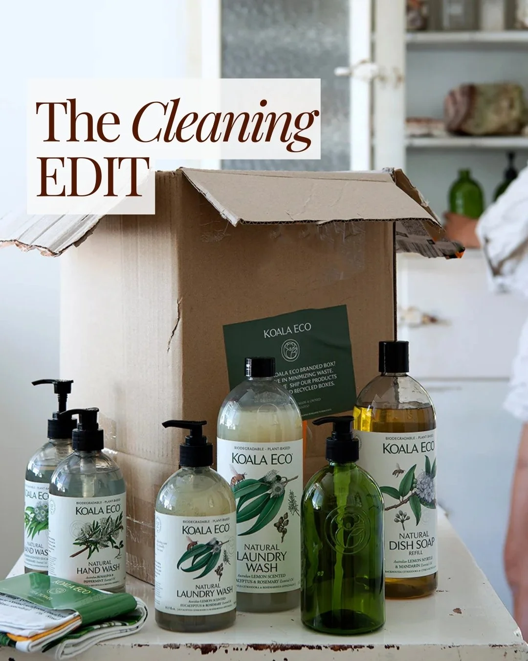 The Designory EDIT | Explore Design Ideas Today — THE DESIGNORY