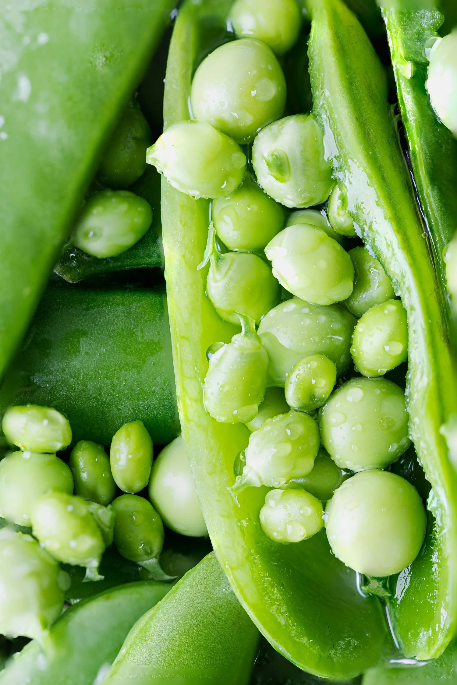 Seasonal Fruit & Vegetables Victoria | What’s In Season — Virgona ...