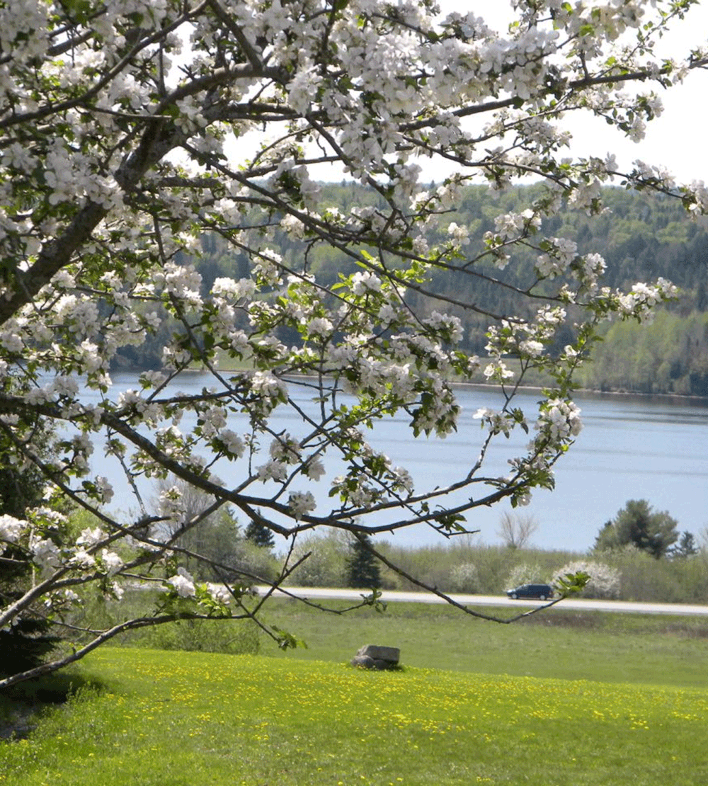 Supporting Community. Preserving History. | Preserve History Today