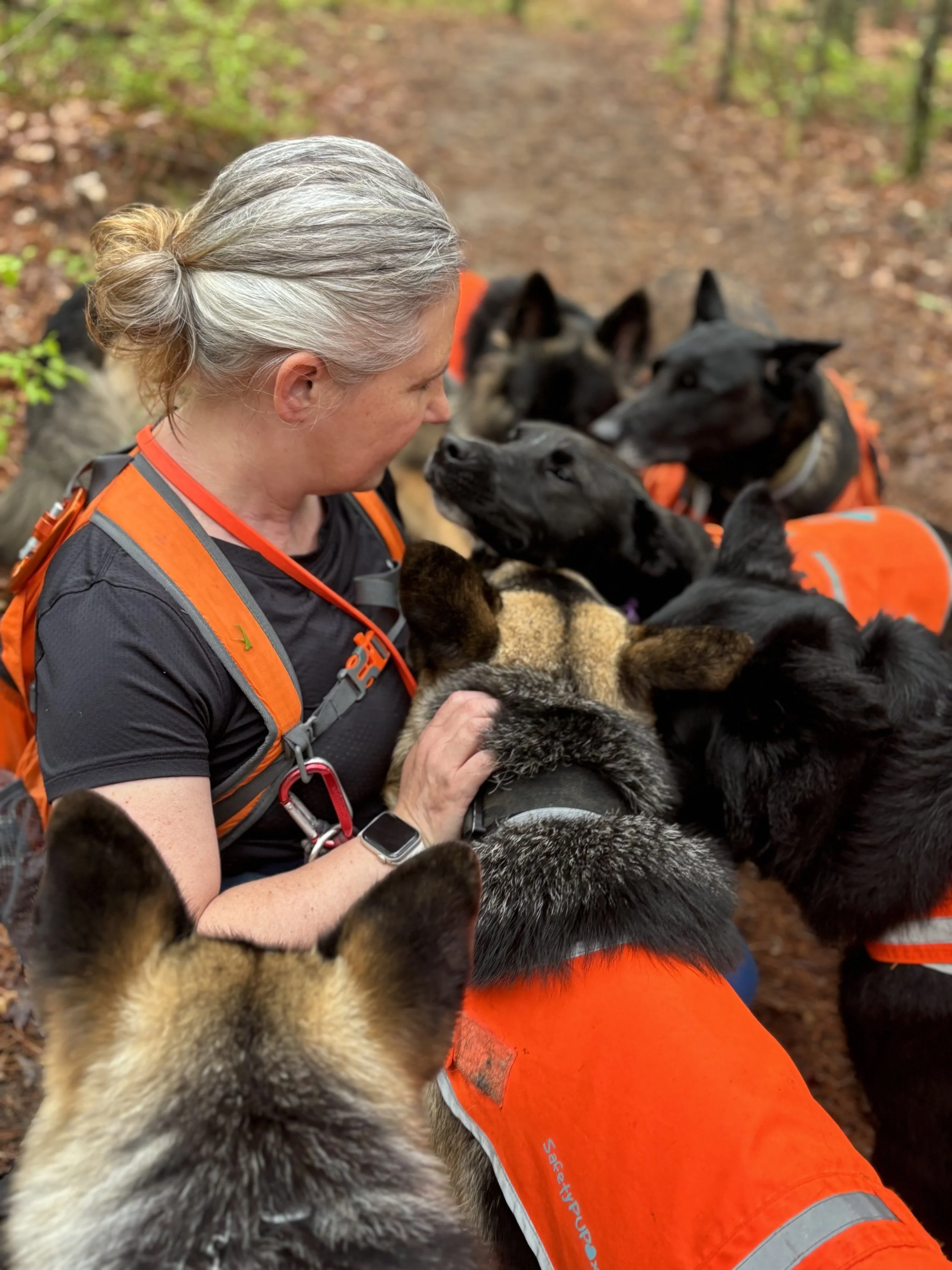 Tails and Trails Dog Training