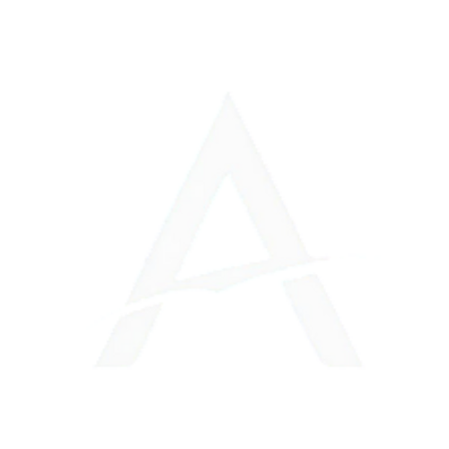 Aurora Solutions Group