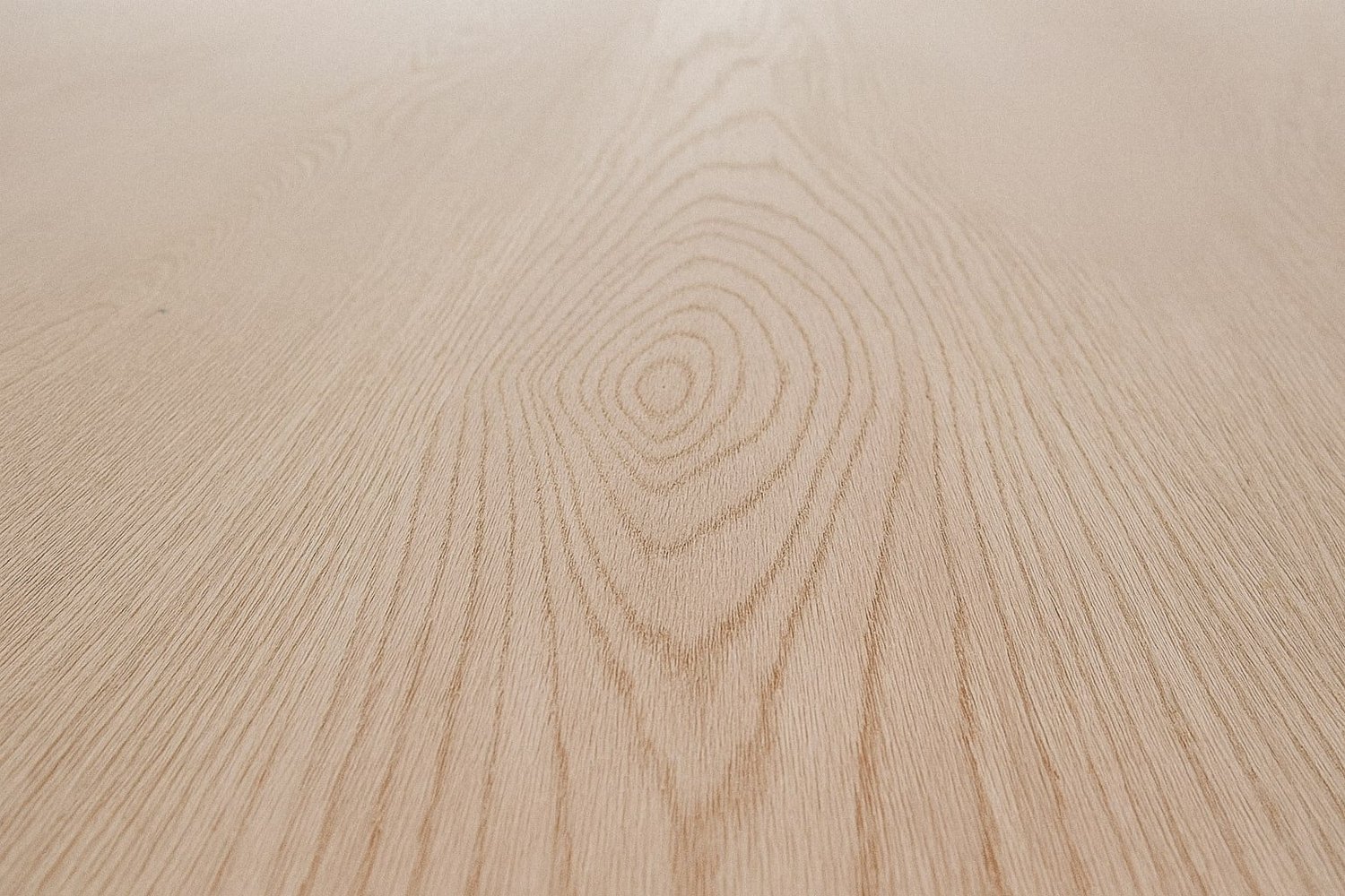 Timber Species for Flooring Explained | Timber Floor Specialists NZ — TFS