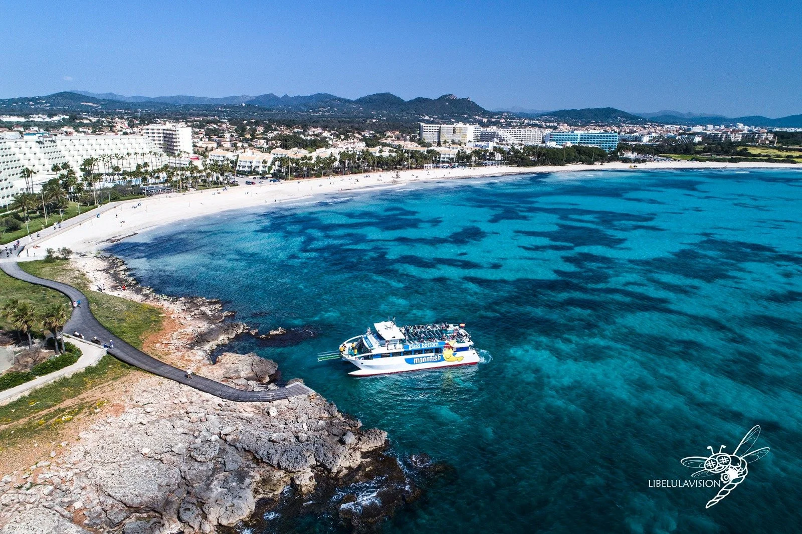 Moonfish Glass Bottom Catamaran, Mallorca | Glass Bottom Boat Trips ...