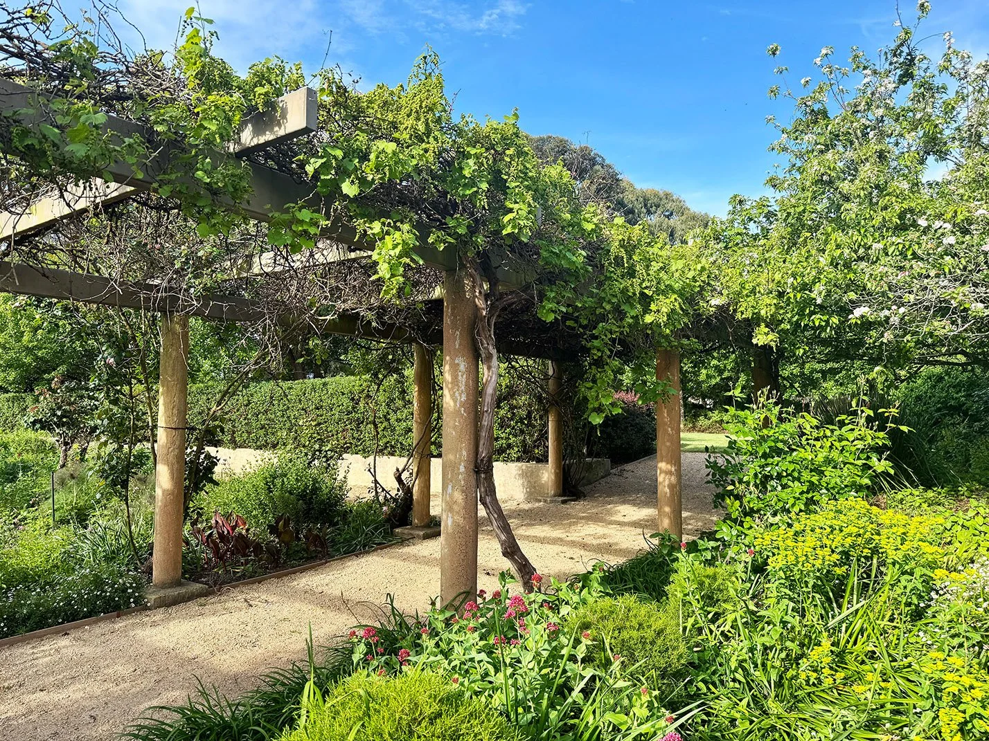 Ridgefield, Coldstream — Open Gardens Victoria