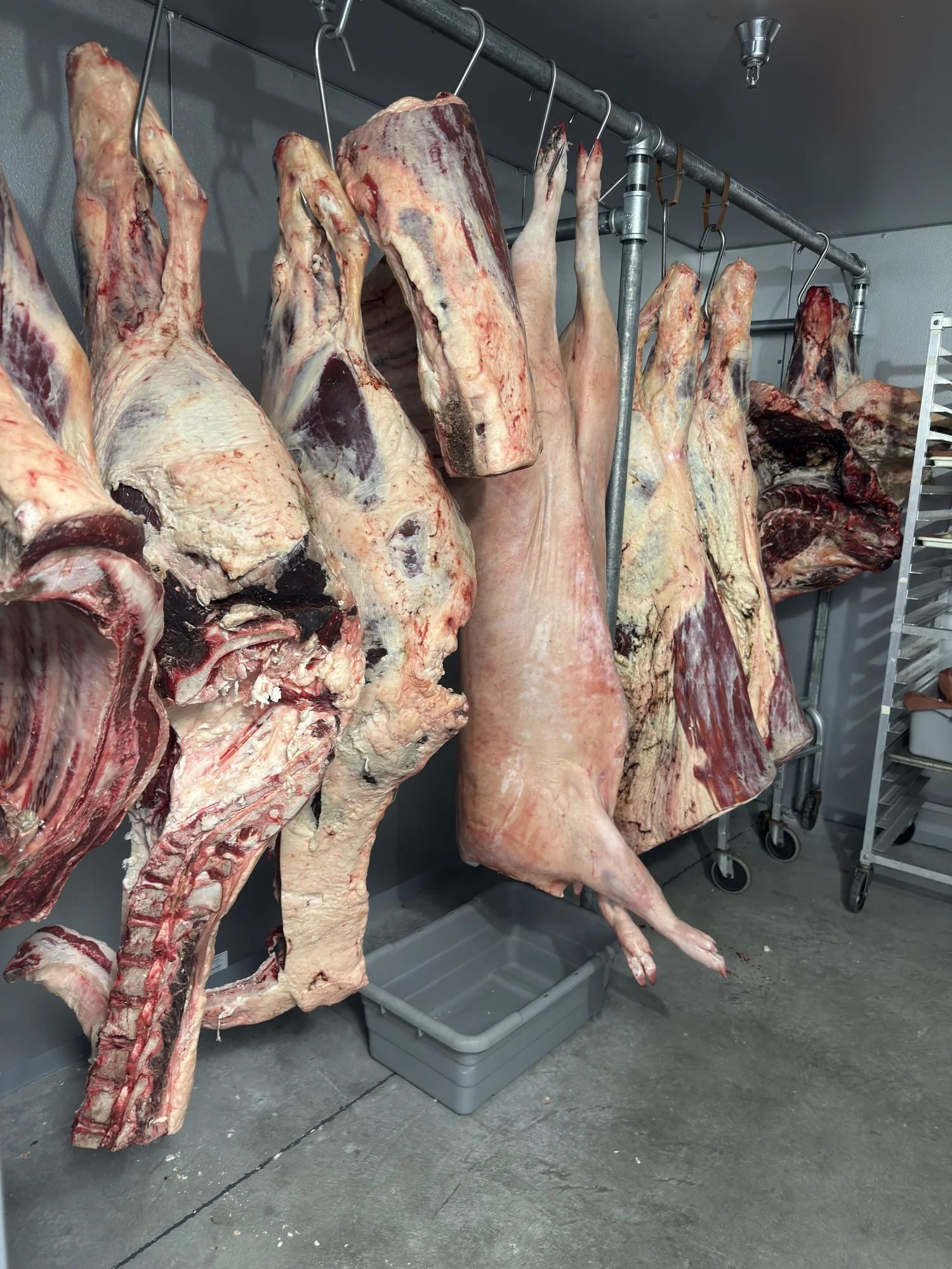 The Quarter Butcher | Local Whole Animal Butcher Shop | Dardenne Prairie