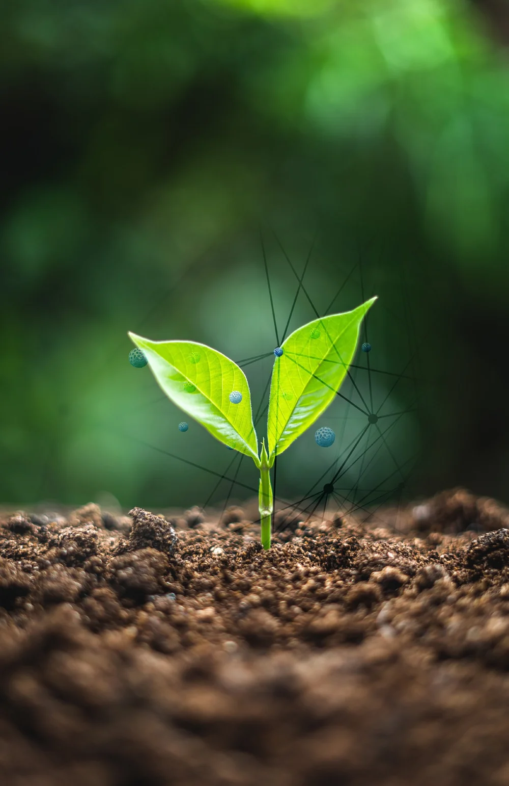 Midwest Ag Solutions
