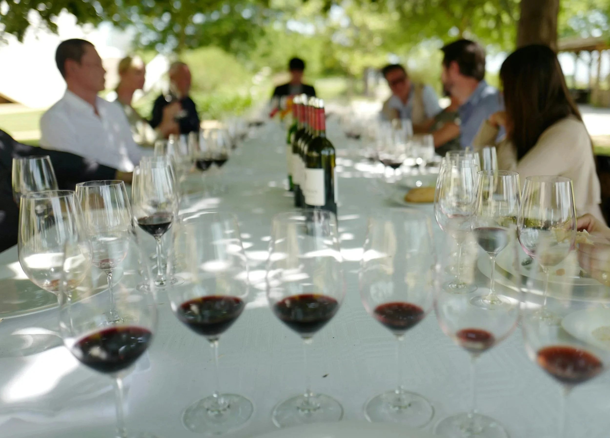 Left Bank vs Right Bank Bordeaux: A Simple Guide for Wine Beginners ...