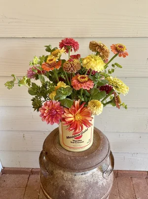 Rural Stems Flower Farm