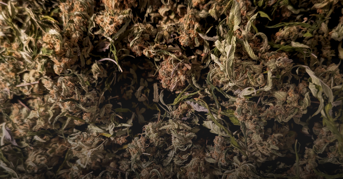 Southland Farms | Niles, MI | Small-Batch Organic Dispensary