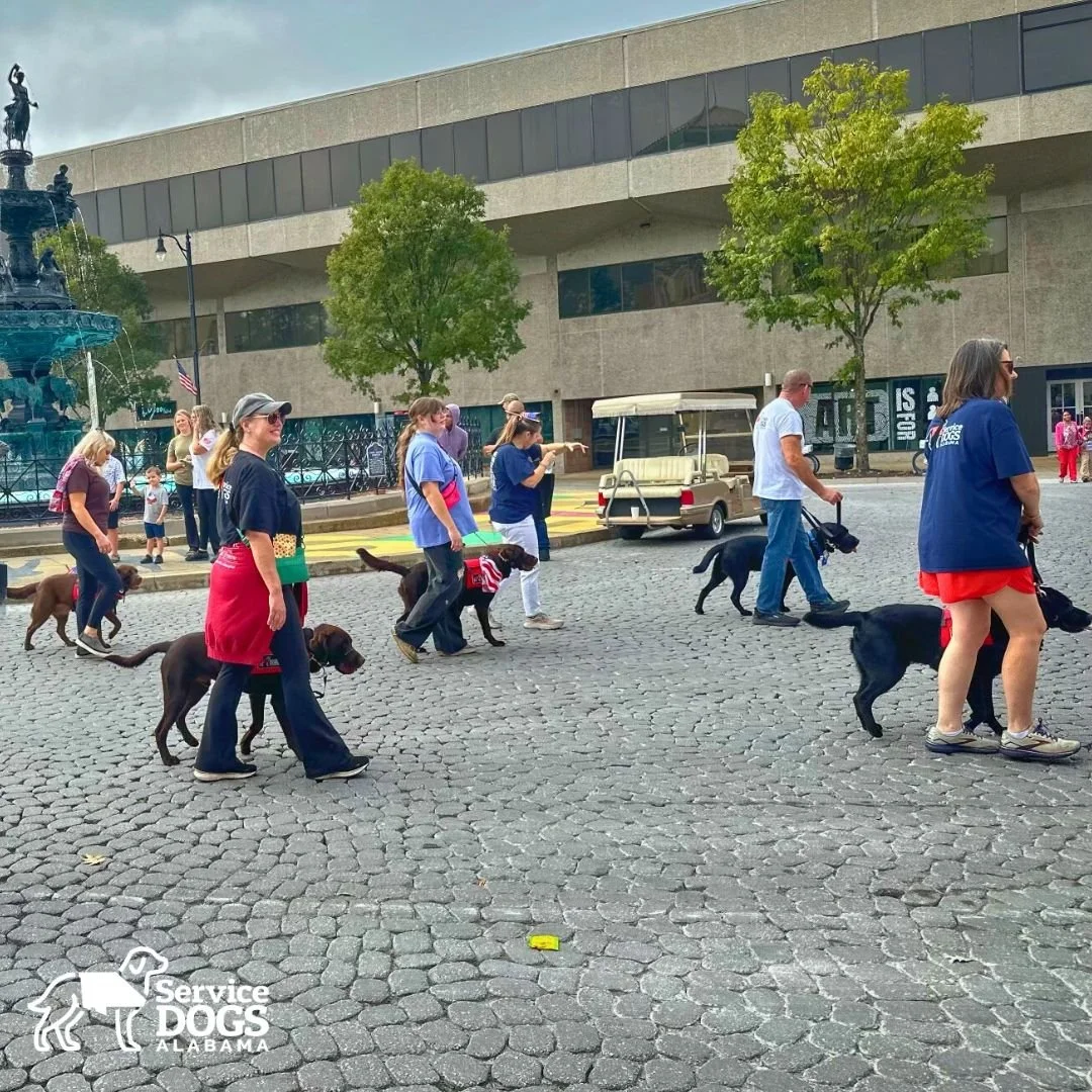 Walking Dogs: Who Benefits More—The Dog or the Person? — Service Dogs ...