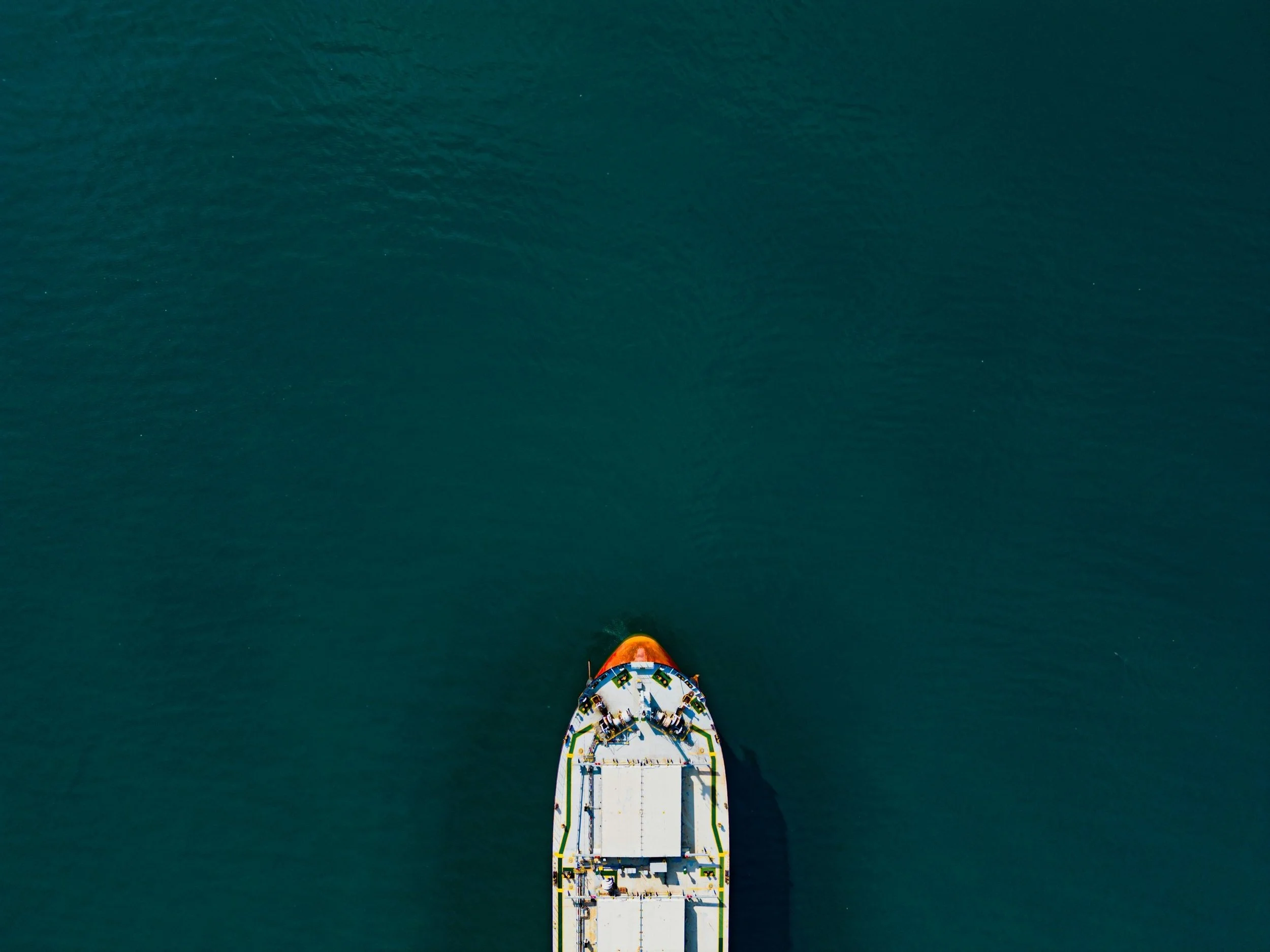 For a Quiet Ocean | Protect Ocean Soundscapes – Act Now