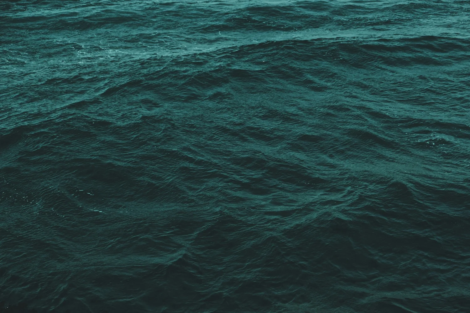 For a Quiet Ocean | Protect Ocean Soundscapes – Act Now