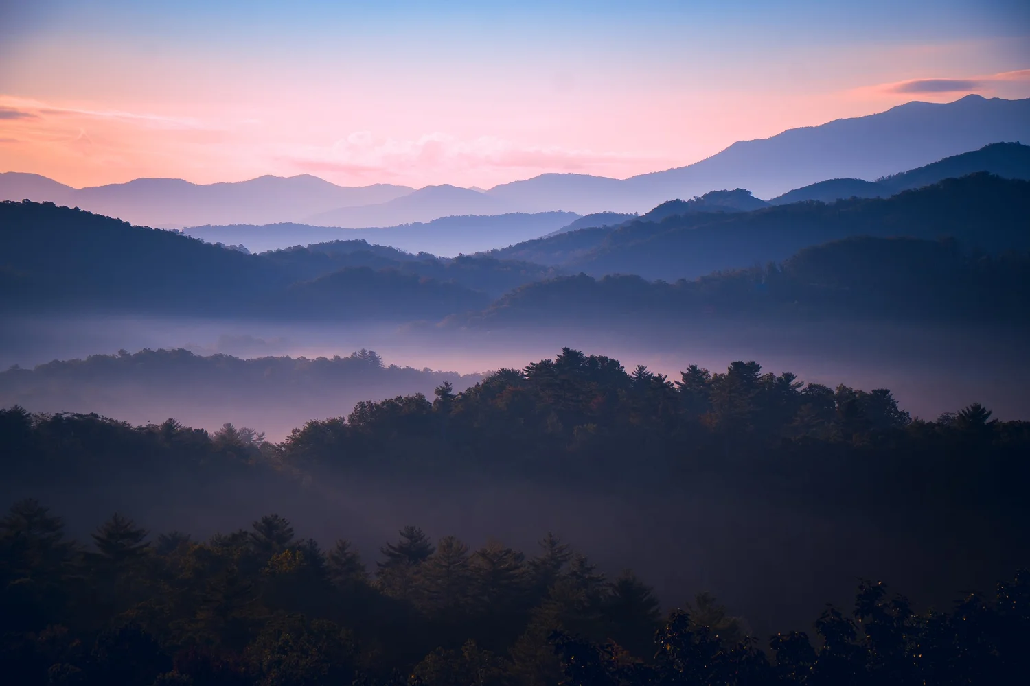 Carolina Skin Institute