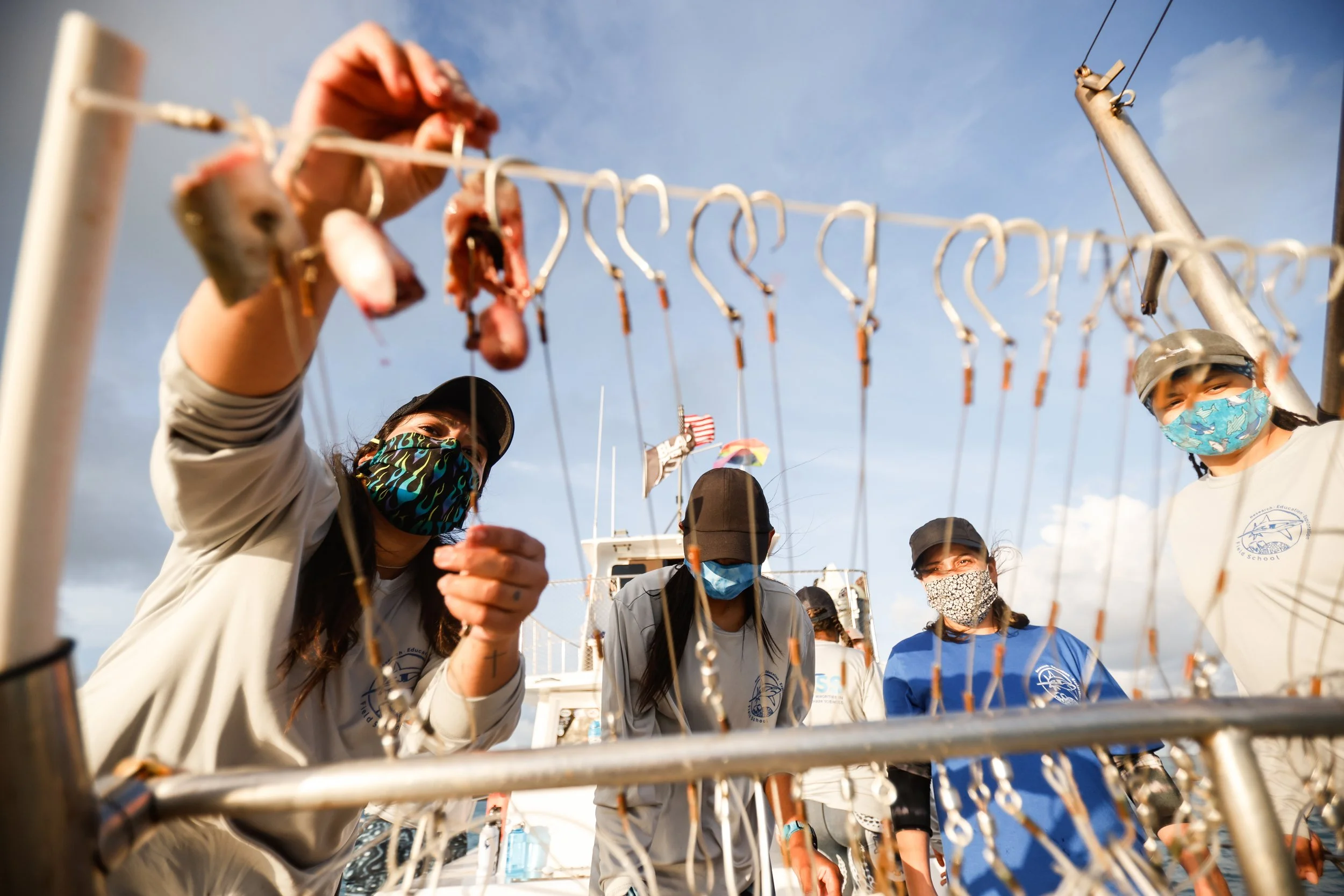 MISS Shifts the Ecosystem of Shark Science — Florida Student News Watch