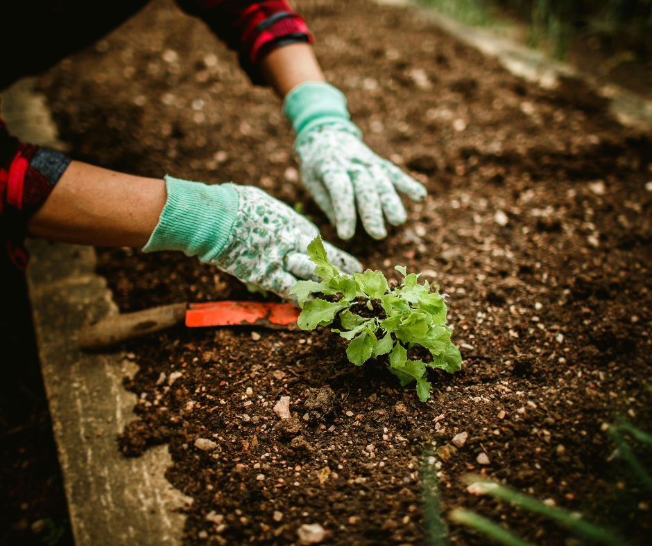 Urban Food Insecurity Rises — Our Health Equity
