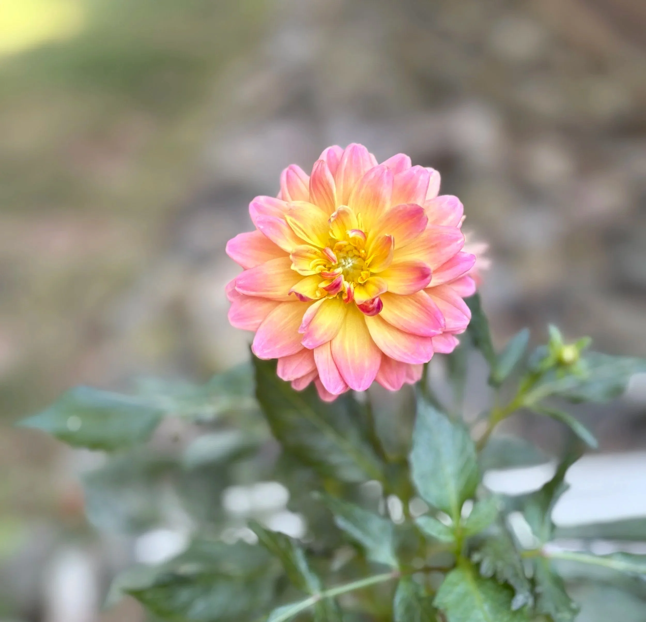 Contact — Well-Being Reimagined