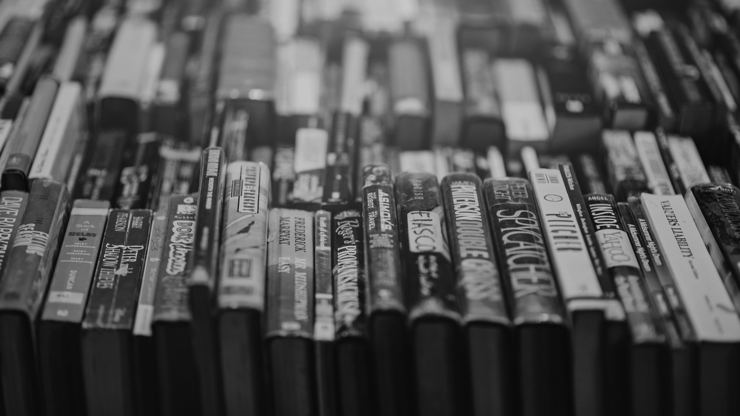 Stories That Bridge the Divide: Building Empathy Through Narrative ...