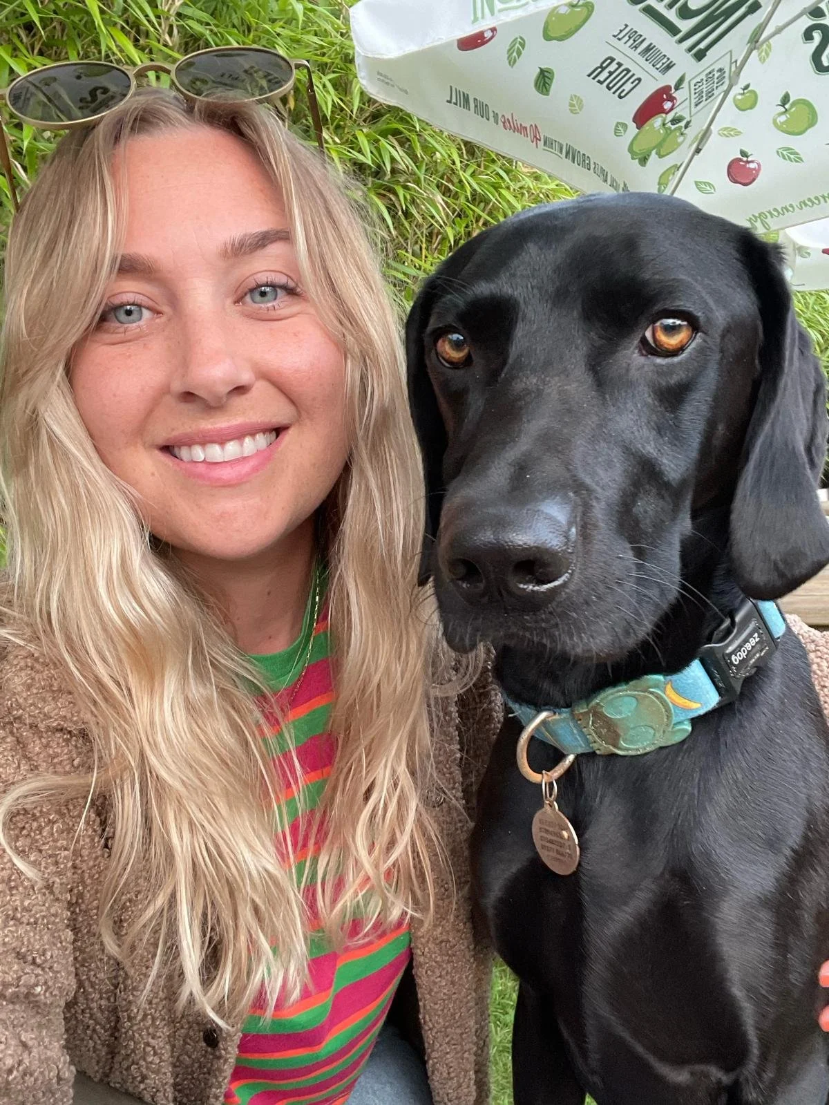 Meet the team | Meet Our Expert Team — Tarka Vets