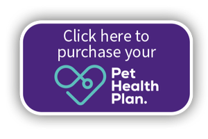 Tarka Vets | Schedule Your Appointment Today